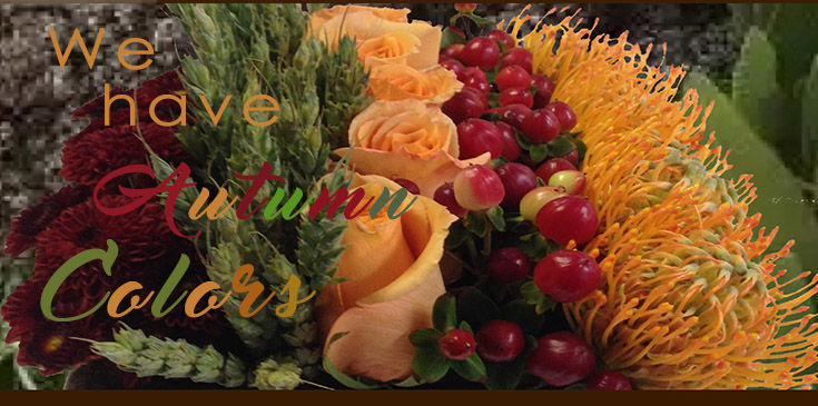 Tulsa Florist Mary Murray's Flowers | Tulsa Flower Delivery