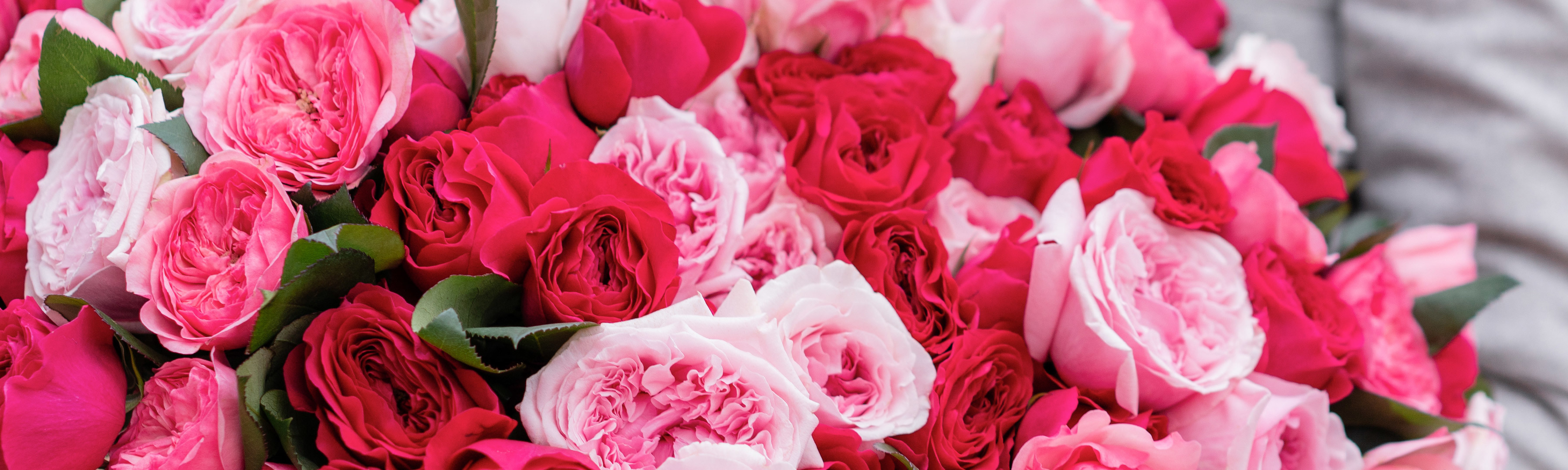 Best Tulsa Florist - Same-day Flower Delivery Tulsa | Mary Murray's Flowers