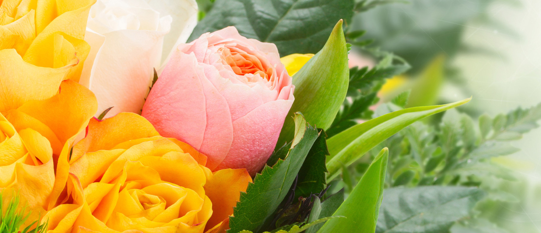 Best Tulsa Florist - Same-day Flower Delivery Tulsa | Mary Murray's Flowers