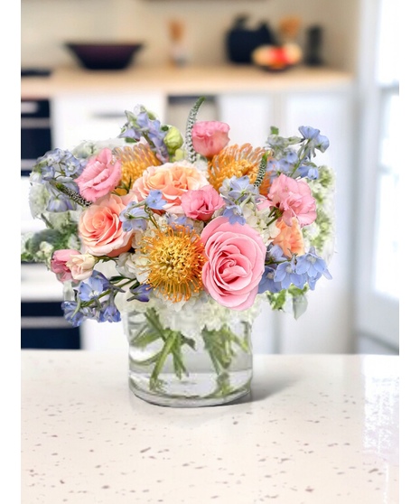 Arboricola - Mini Shefflera Plant | Mary Murray's Florist Tulsa